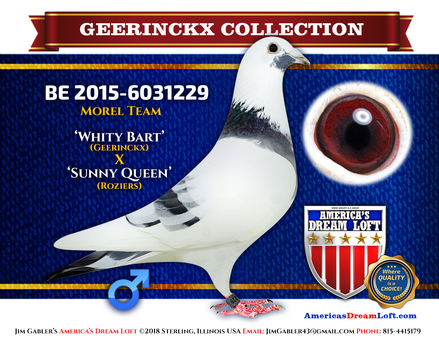 Bart Geerinckx – America's Dream Loft